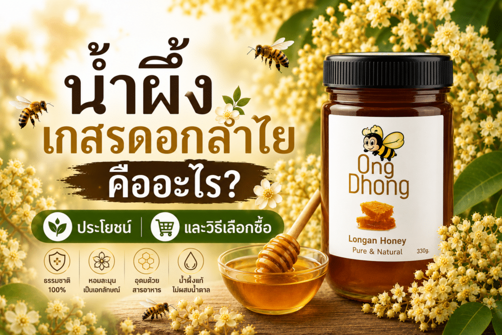 ขั้นตอนการผลิตน้ำผึ้ง 5 ข้อที่ควรรู้ - Honey Polyplus